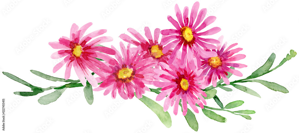 Pink daisy flower border frame watercolor floral illustration hand ...