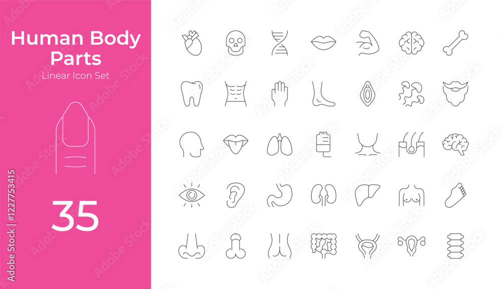 Human Body Parts Vector Icons Set. Anatomy Illustrations of Organs ...