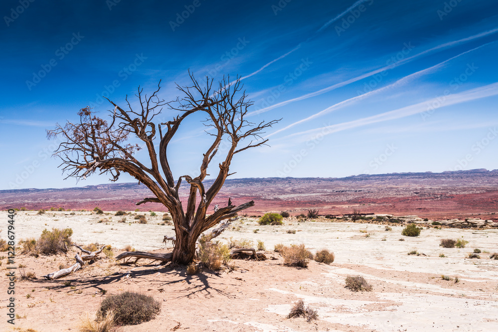 Trading Post Trail at Red Rocks Park is one of the most popular hiking ...