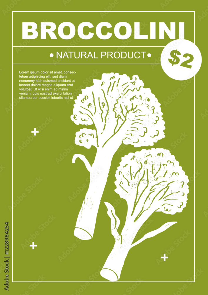Broccolini. Set of posters of vegetables in a abstract draw design ...
