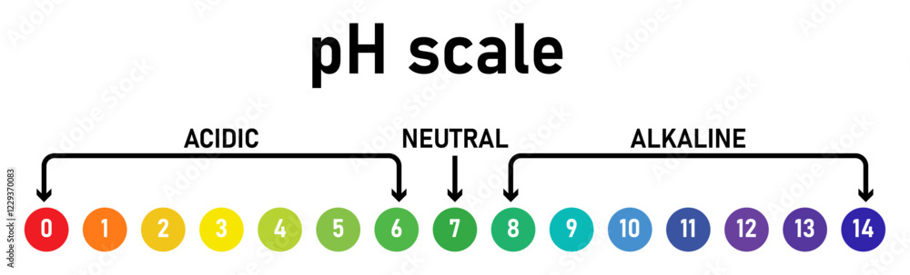 pH scale chart with acidic, neutral, and alkaline levels from 0 to 14 in colorful gradient for ...