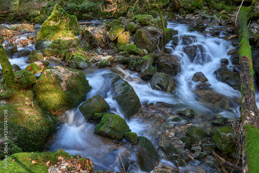 Majestic Allerheiligen Waterfalls: Powerful Cascades Over Mossy Rocks ...