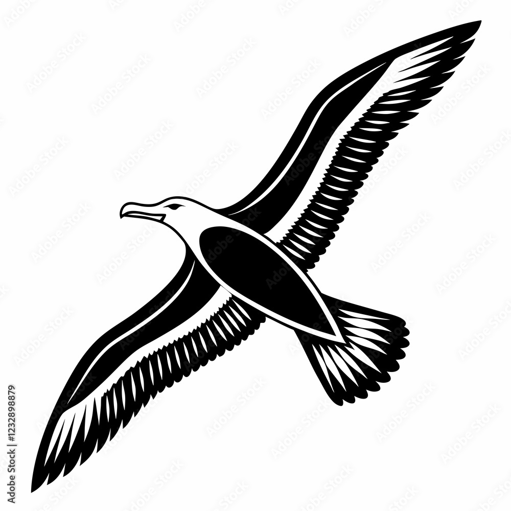 Albatross Vector Silhouette – PNG, SVG, EPS, AI, PSD Clipart for ...