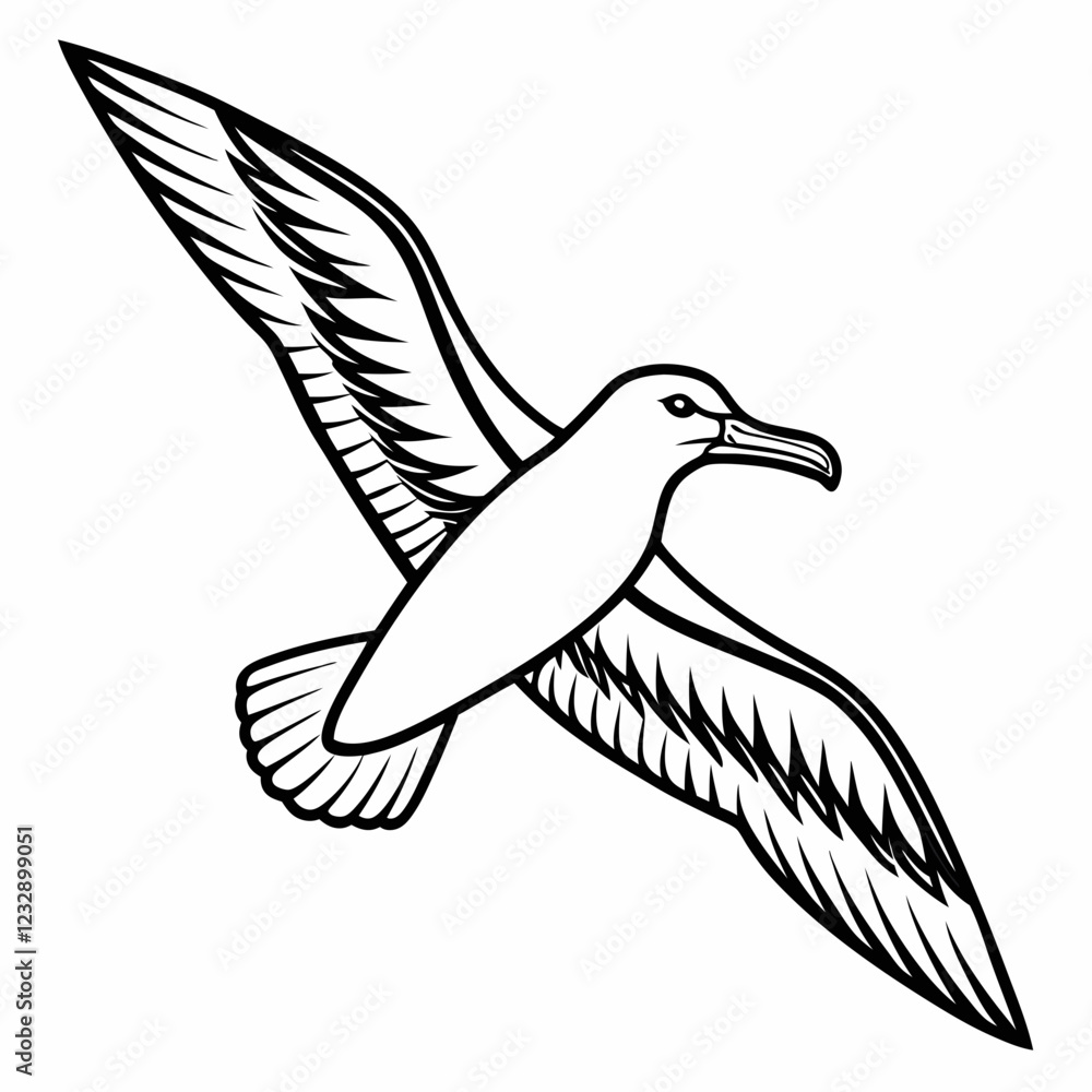 Albatross Vector Silhouette – PNG, SVG, EPS, AI, PSD Clipart for ...