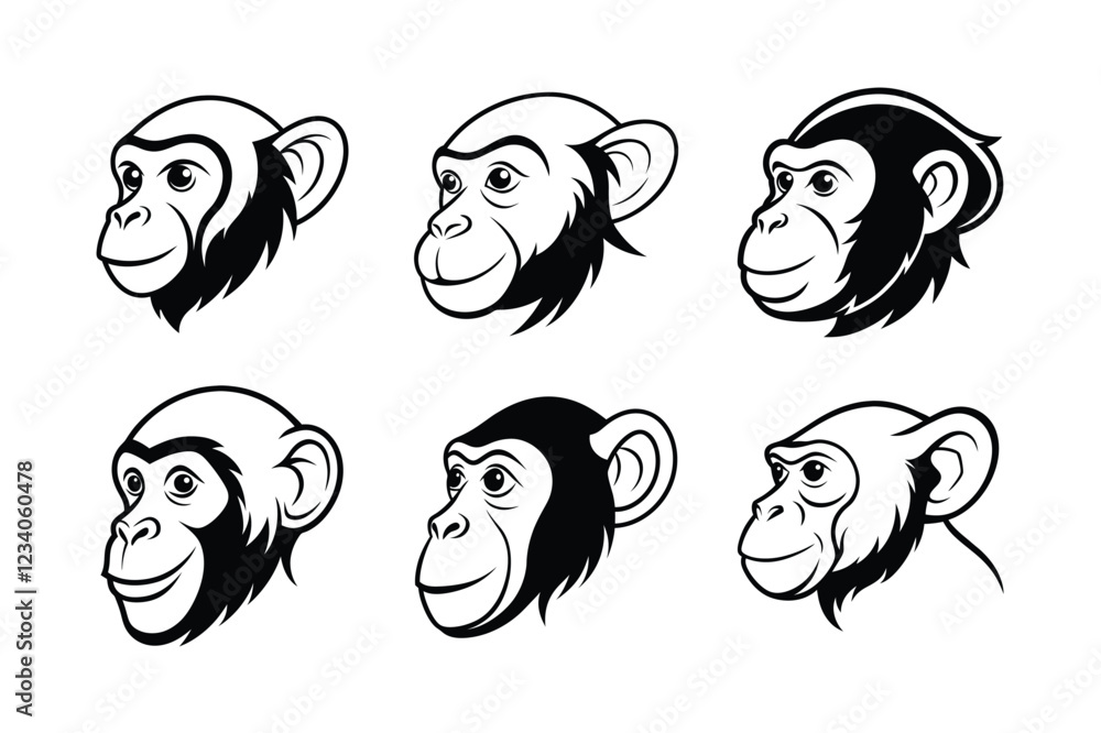 Capuchin Monkey (Cebus capucinus) animal design, labeled line art ...