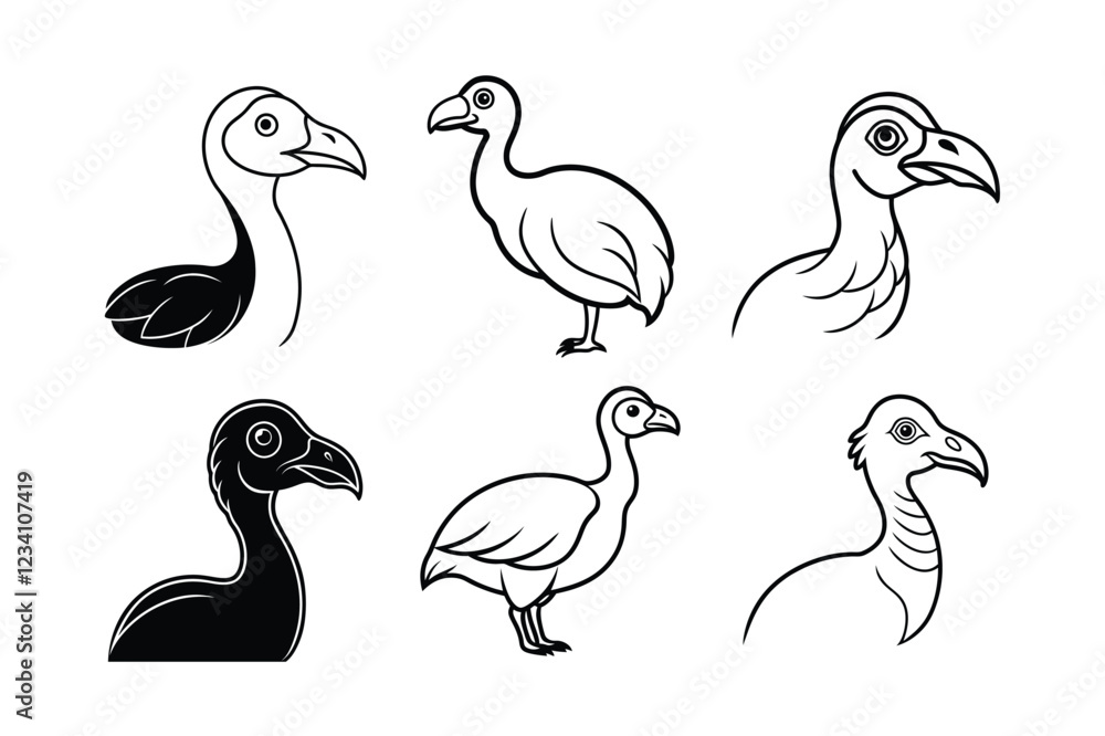 Dodo (Raphus cucullatus) – extinct animal design, labeled line art ...