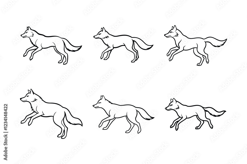 Gray Wolf (Canis lupus) animal design, labeled line art vector art ...