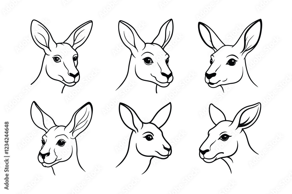 Red Kangaroo (Macropus rufus) animal design, labeled line art vector ...