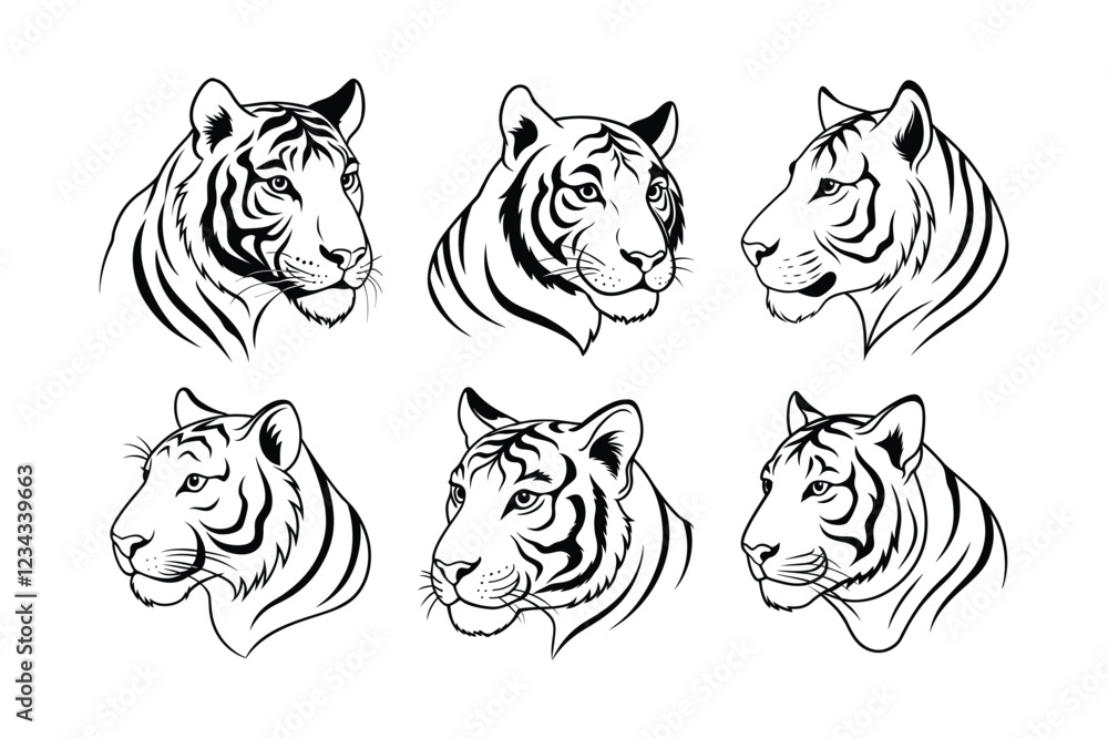 Siberian Tiger (Panthera tigris altaica) animal design, labeled line ...
