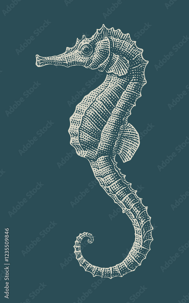 Hand drawn seahorse design illustration Stock Vector | Adobe Stock