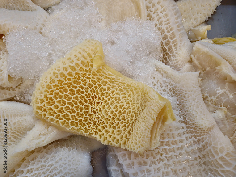 Raw Honeycomb Beef Tripe. Stock Photo | Adobe Stock