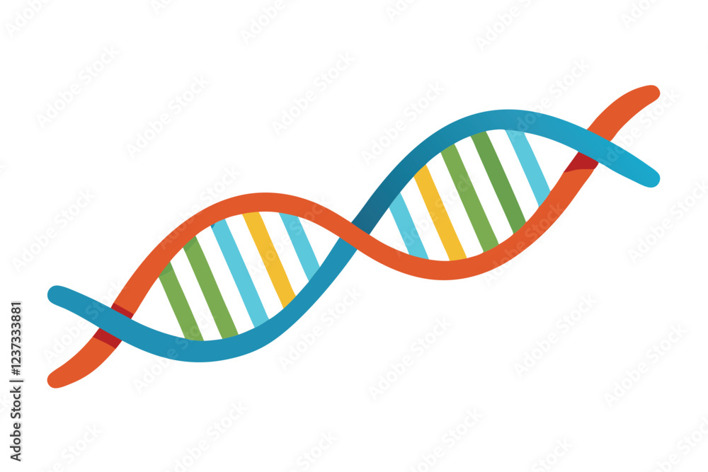 DNA helix vector art illustration Stock Vector | Adobe Stock