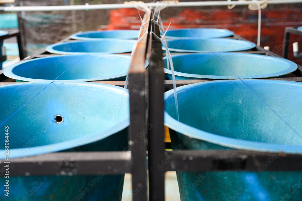 Breeding ponds for hatching fish eggs and cultivating seawater and ...