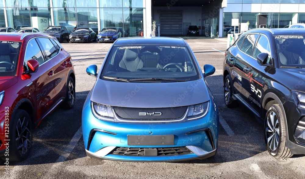 Udine, Italy. February 2, 2025. BYD Dolphin, full electric city car, in ...