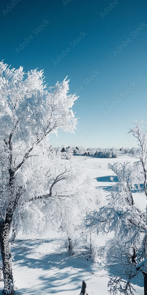 Icy Trees Gleam Under Azure Sky, Serene Winter Scene Phone Wallpaper in ...