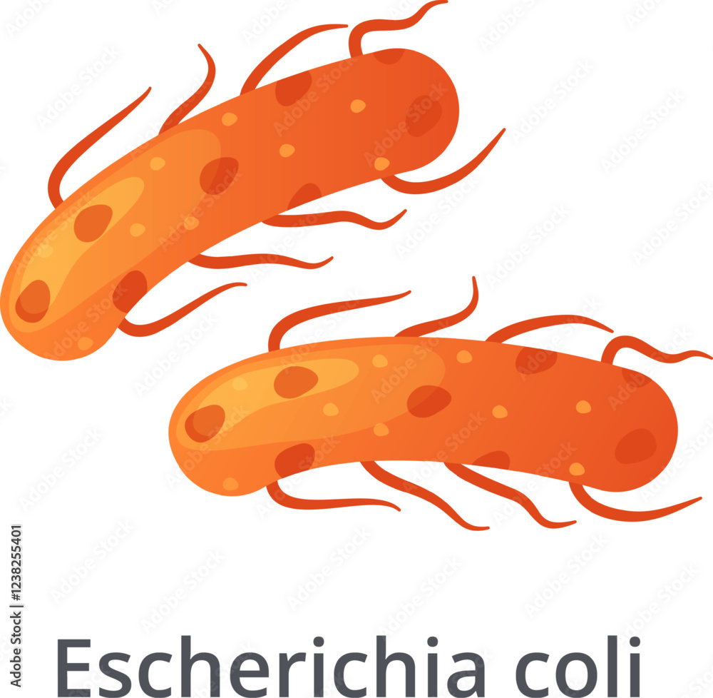 Escherichia coli bacteria is a common cause of food poisoning and ...