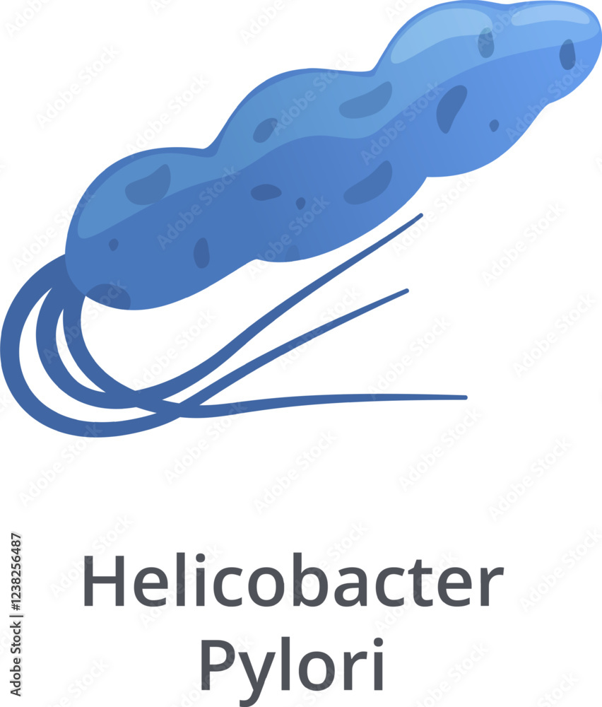 Helicobacter Pylori bacteria moving with flagella, causing stomach ...