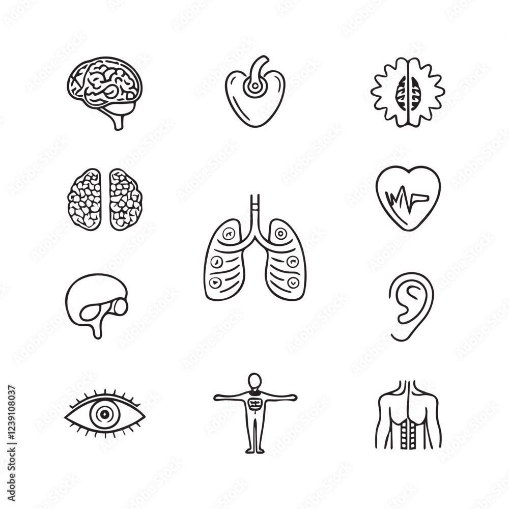 This premium collection of minimalist, black line-art healthcare icons ...