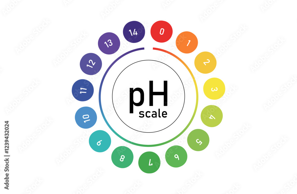 pH Scale Vector. Color Chart for Laboratory and Food Testing PNG Stock ...
