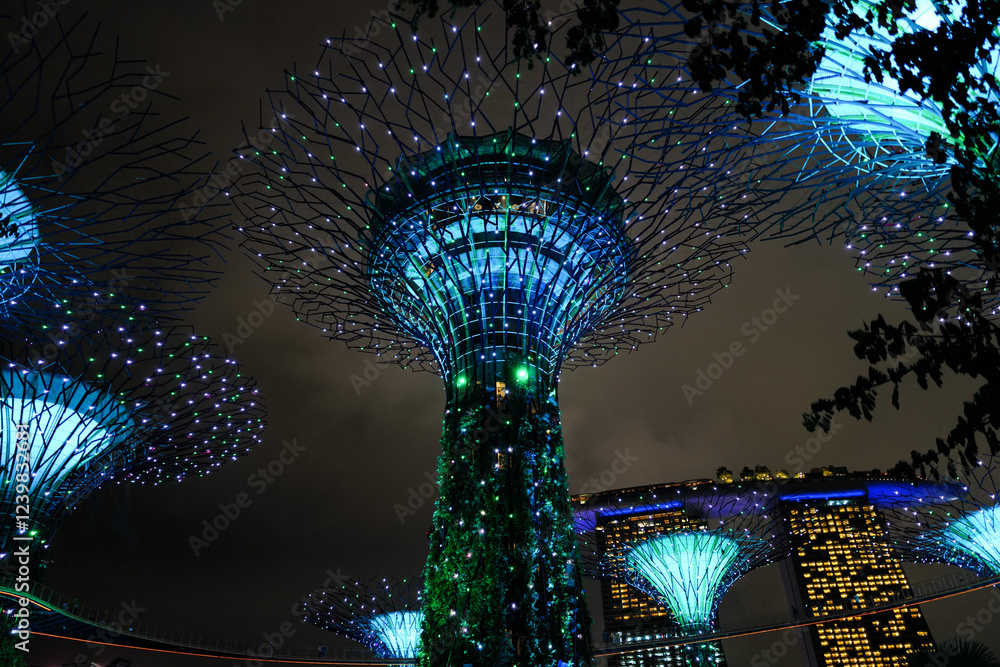 Luminous Supertrees of Gardens by the Bay in Singapore light up the ...