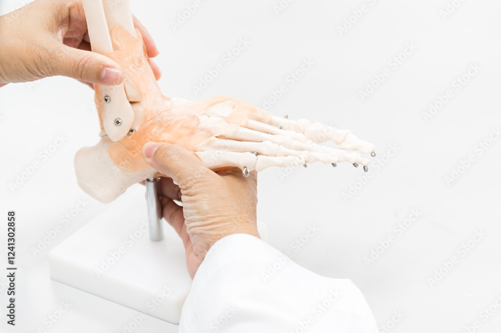 Orthopedist explain to the patient for human foot bone injury treatment ...