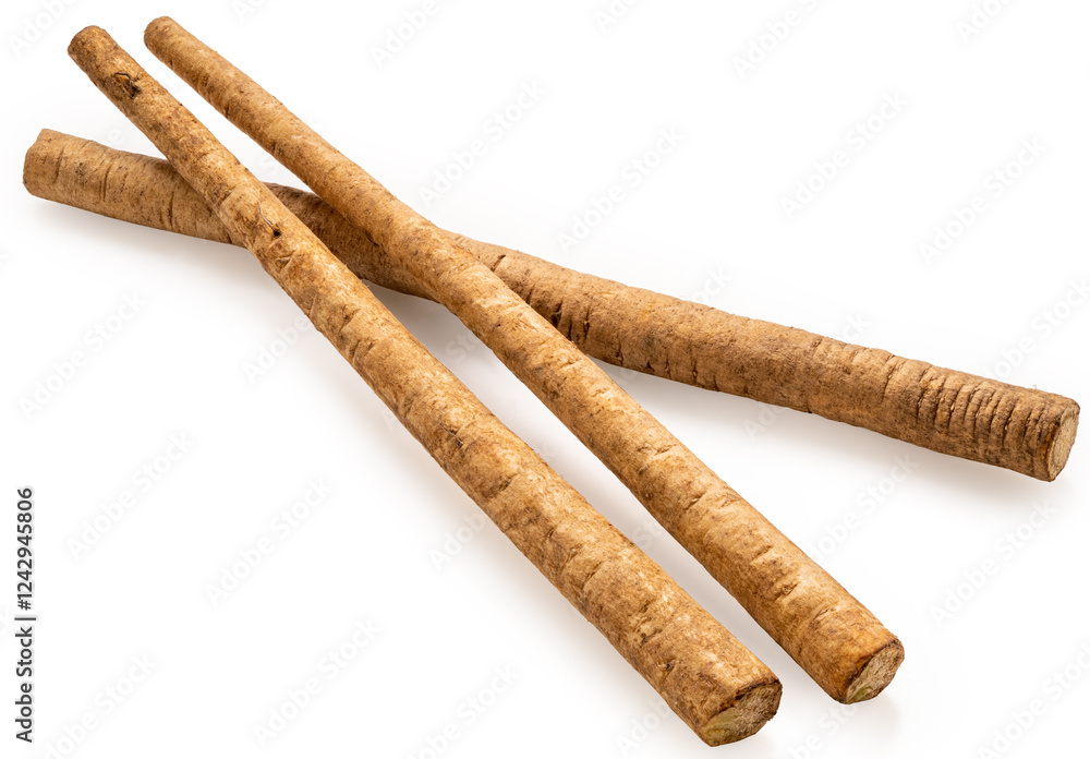 Gobo Root or Burdock Root an Asian culinary herb on white background ...