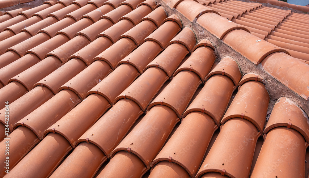 Traditional terracotta red roof tiles. Classic and durable roofing. Old ...
