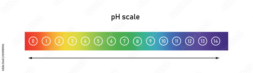 Neutral and Acid-Alkaline pH Scale. Chemistry Analysis Diagram PNG ...