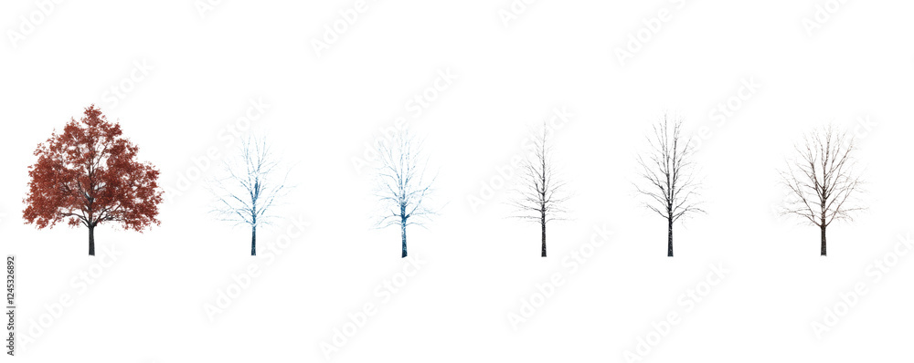 Transformation of Trees Through Seasons in a Colorful Display Stock ...