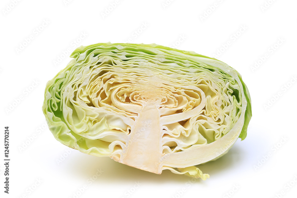 Cross section Cabbage cut close-up texture layers on white studio ...