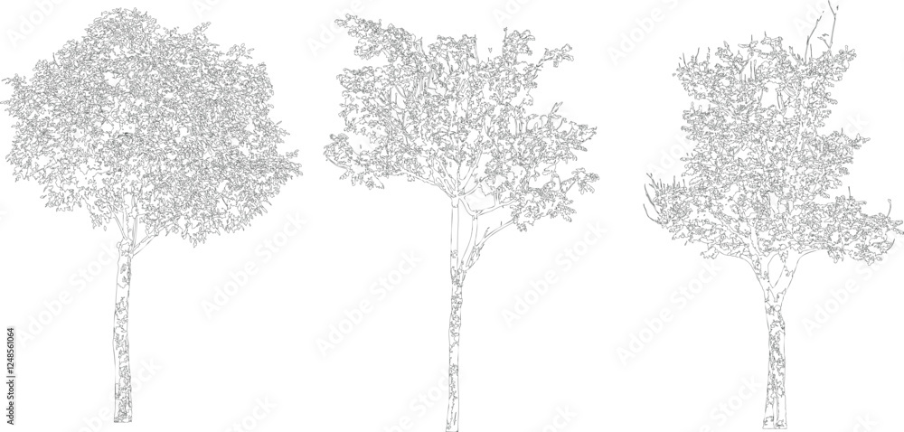 Minimal style cad tree line drawing, Side view, set of graphics trees elements outline symbol ...
