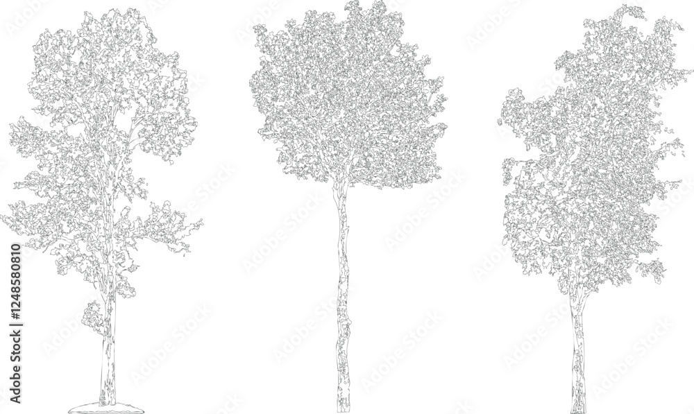 Minimal style cad tree line drawing, Side view, set of graphics trees elements outline symbol ...