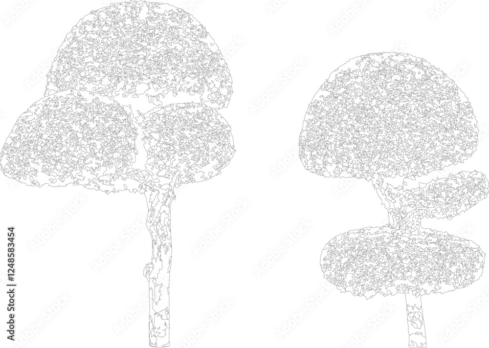 Vector de Stock Minimal style cad tree line drawing, Side view, set of graphics trees elements ...