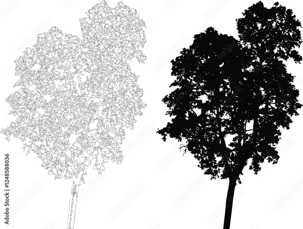Minimal style cad tree line drawing, Side view, set of graphics trees ...