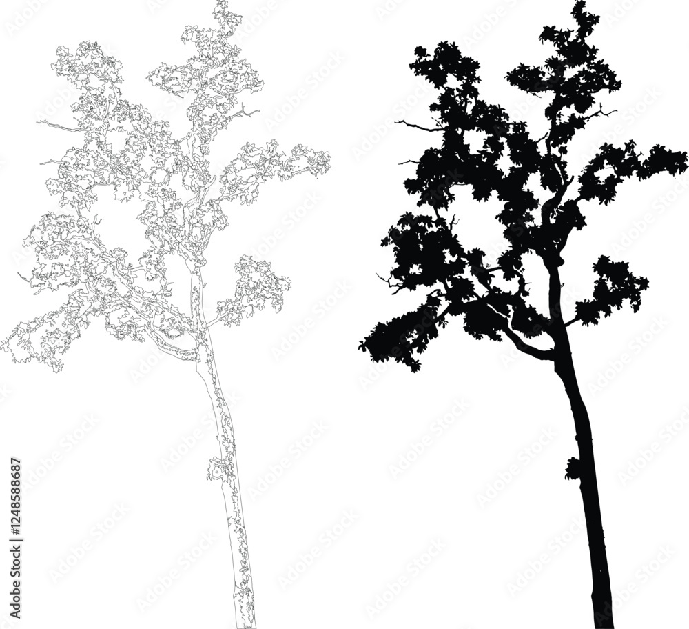 Minimal style cad tree line drawing, Side view, set of graphics trees elements outline symbol ...