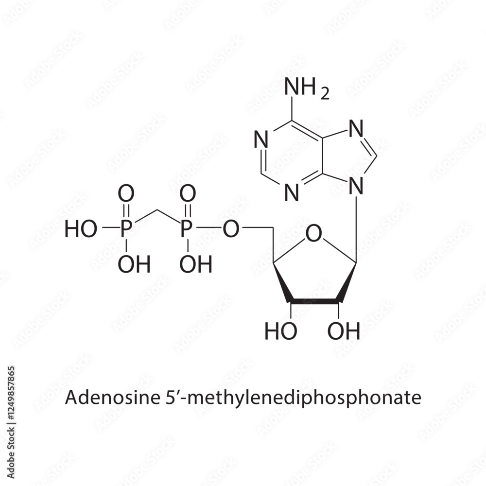 Adenosine 5’-methylenediphosphonate skeletal structure.Nucleotide ...