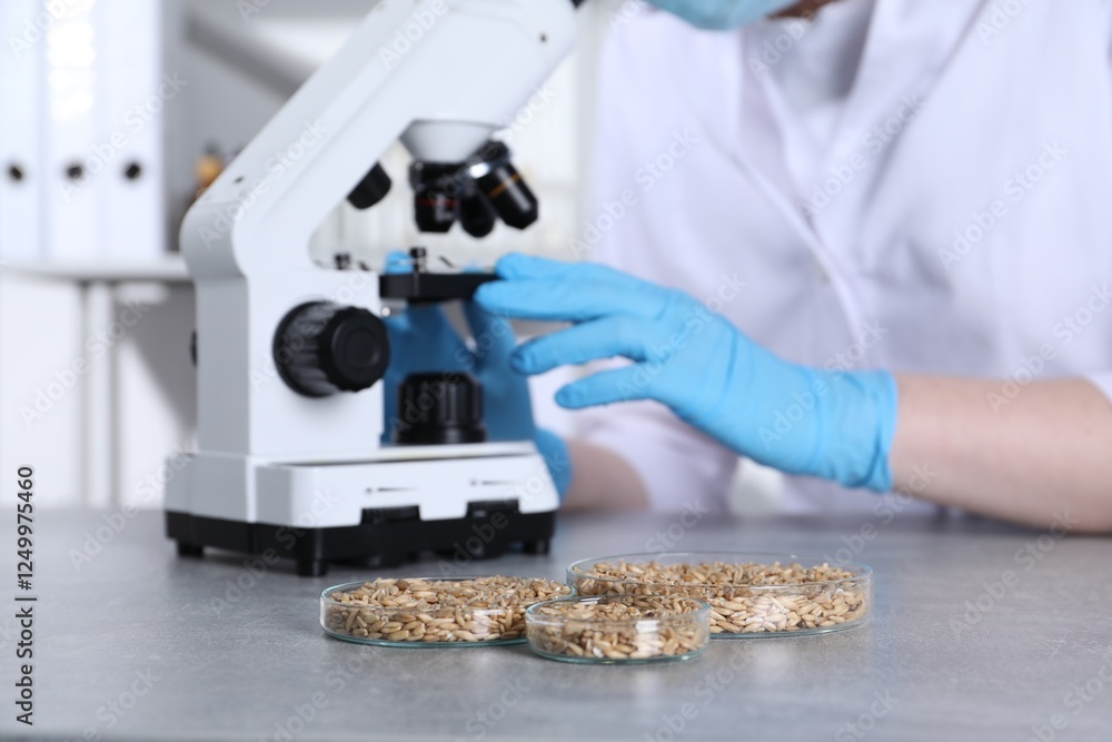 Laboratory testing. Scientist examining sample under microscope at grey ...