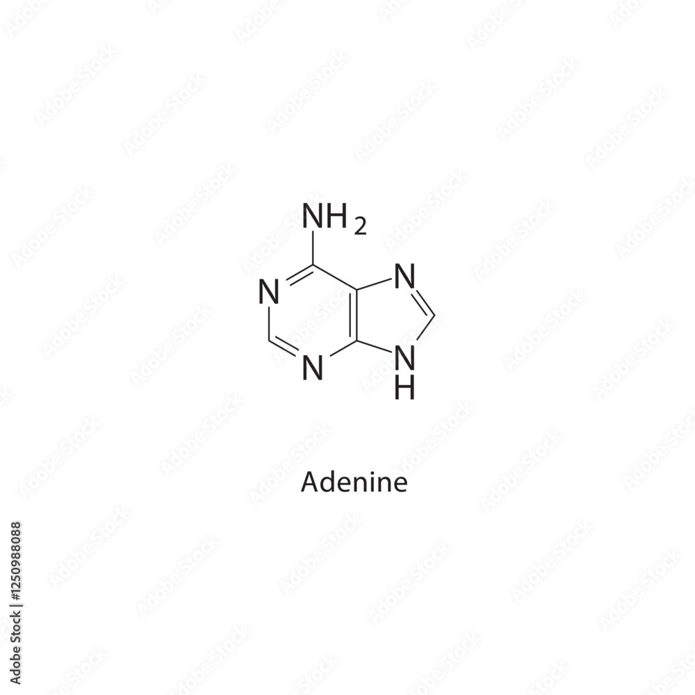 Allylamine skeletal structure.Amine compound schematic illustration. Simple diagram, chemical ...