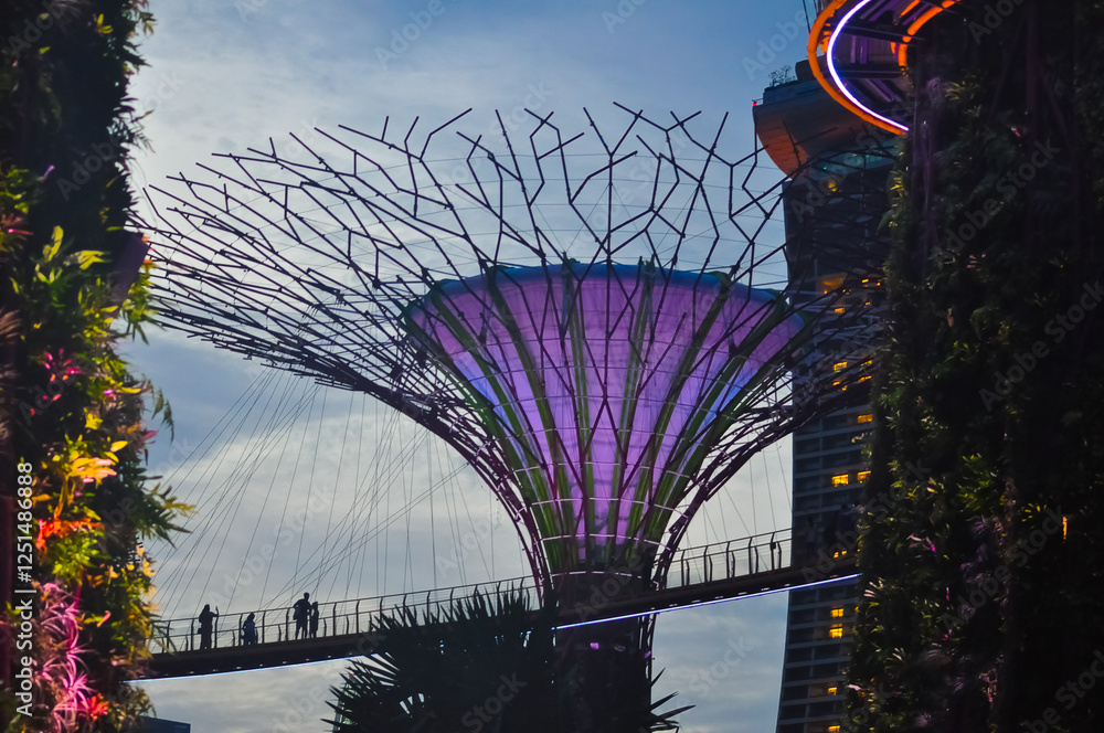 Singapore - January 20, 2025: Supertree Grove at Gardens by the Bay - botanic garden at night at ...