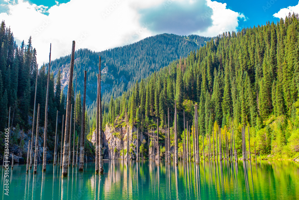 Sunken forest of Lake Kaindy in Kazakhstan. Beautiful mountain natural ...