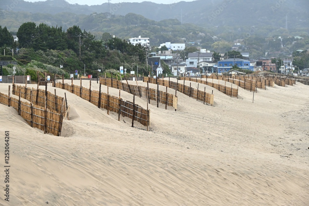 Sand fences made of bamboo installed on a sandy beach in Japan. The ...