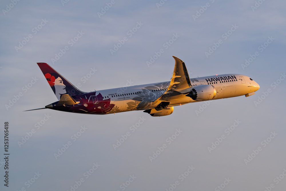 Sky Harbor International Airport 2-8-2025 Phoenix, AZ USA.. Hawaiian ...