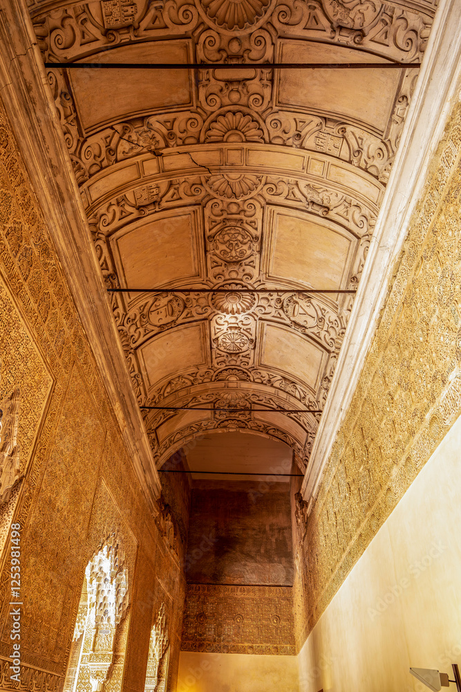 Side Chamber of the Palace of the Lions Alhambra Showcasing Nasrid ...