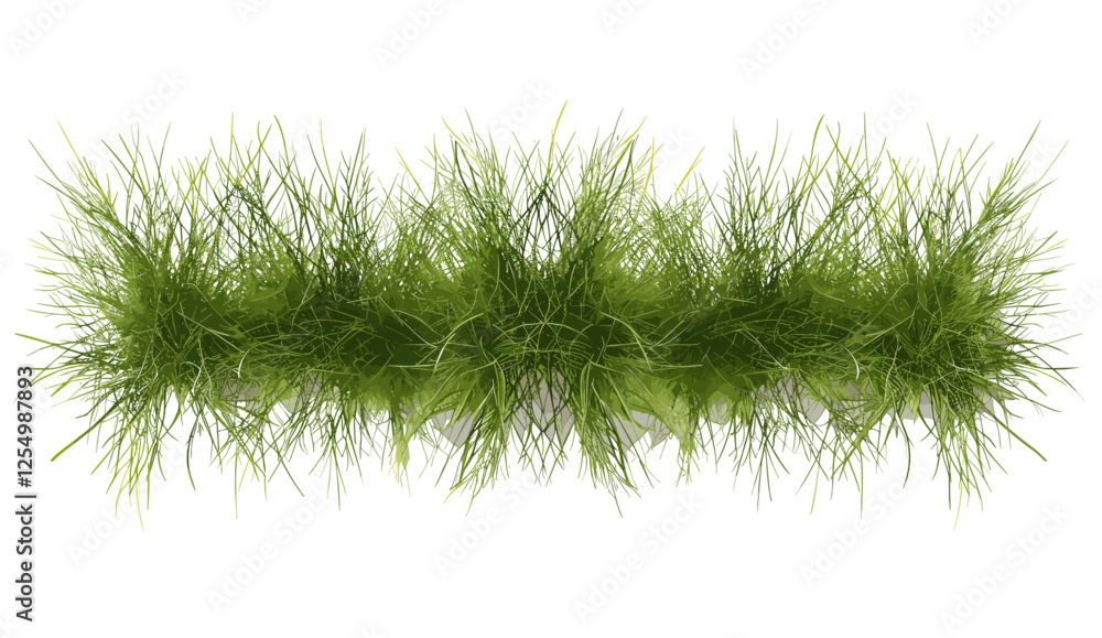 Vector illustration top view landscape perspective long grass row ...