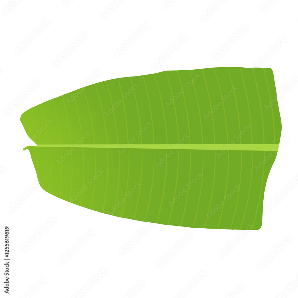 Banana Leaf , Kerala traditional sadya leaf, isolated on transparent ...