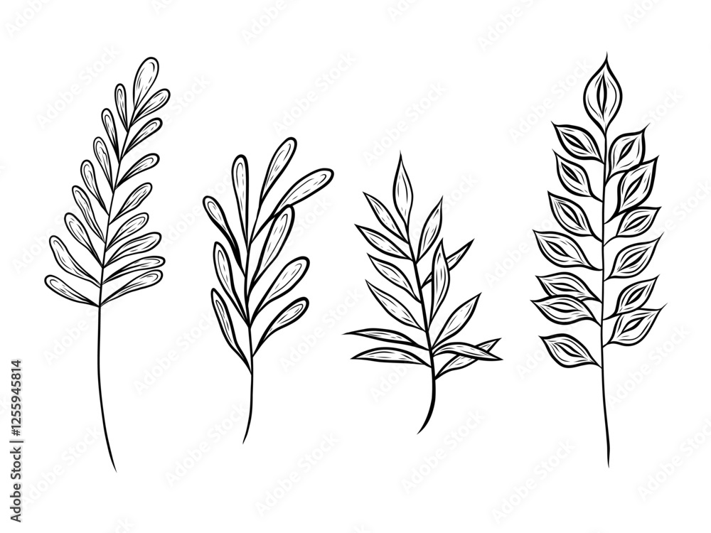 Vector set of twigs with leaves. Hand drawn vector graphics ...