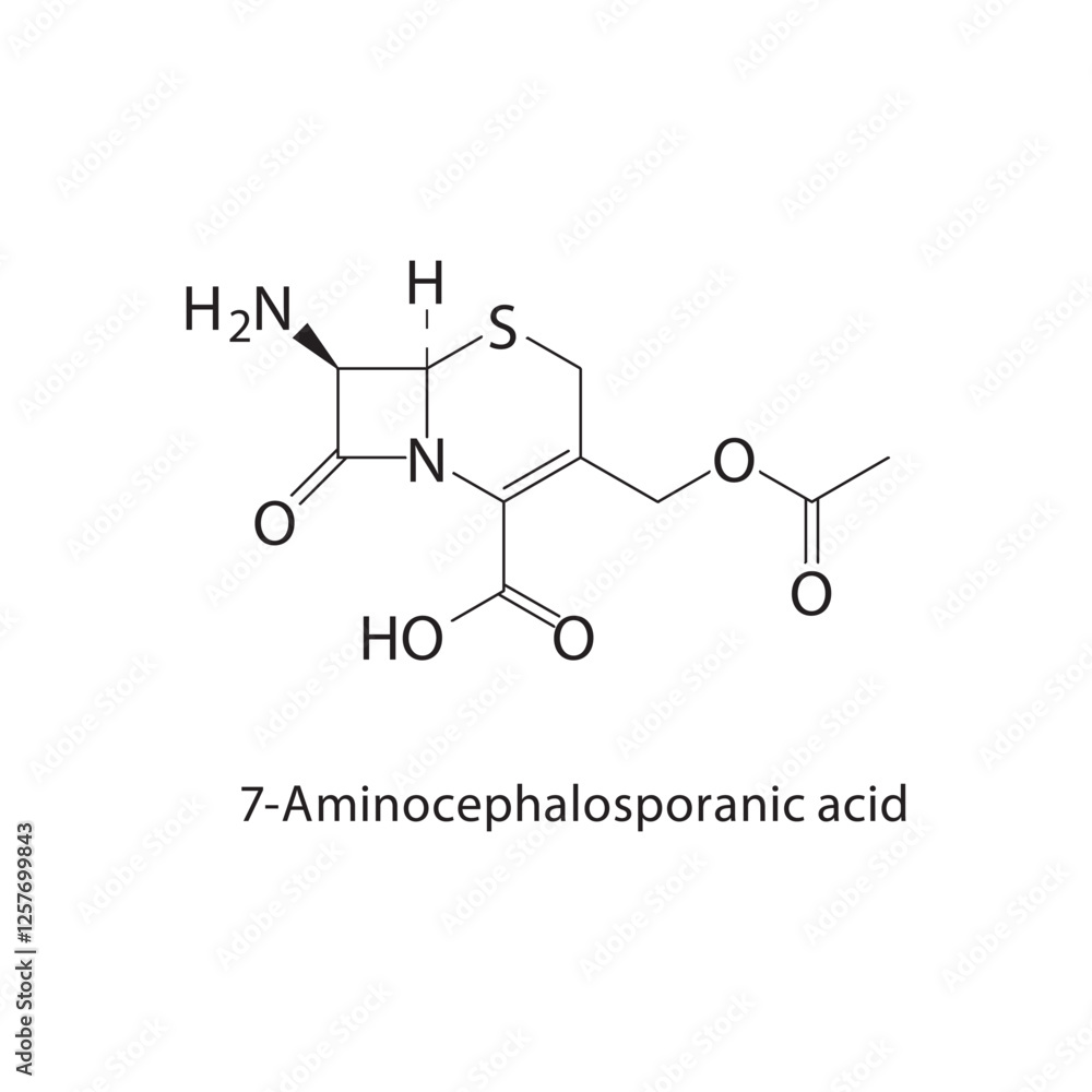 7-Aminocephalosporanic acid skeletal structure.Beta-lactam compound ...