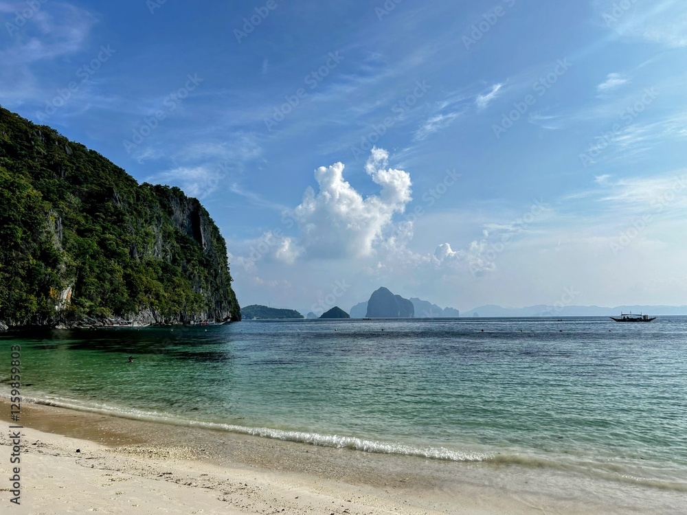 Tropical beach with coconut palm trees and sea on the island Palawan at ...