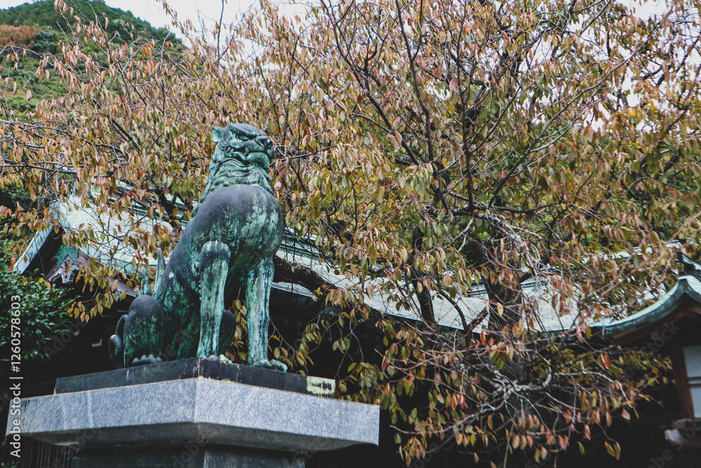 Komainu statue in Kyoto, Japan. The lion-dog statues are often ...