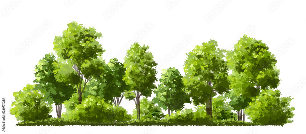 Vector watercolor green tree or forest side view isolated on white ...